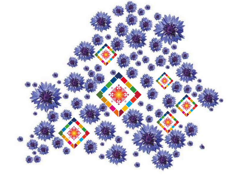 Updated BHR Country Guide for Belarus | CEECA Resource Hub